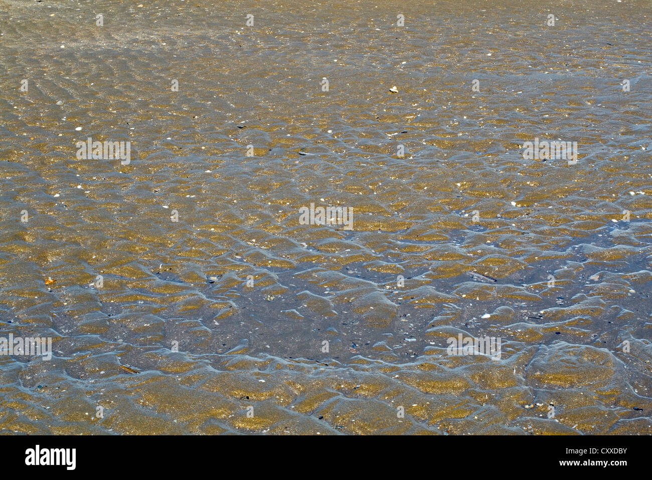 wadden sea in France while low ebb tidal Stock Photo - Alamy