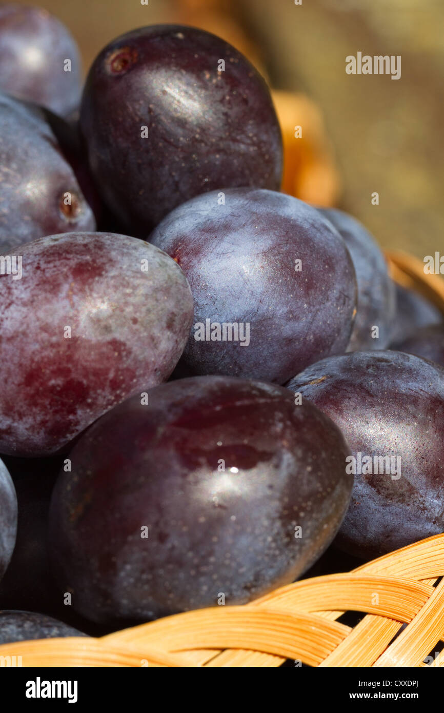 Damsons plums hi-res stock photography and images - Alamy