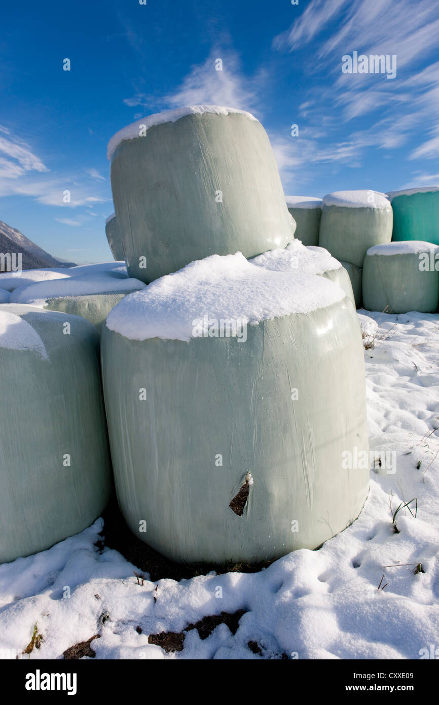 Plastic wrapped silage hi-res stock photography and images - Alamy