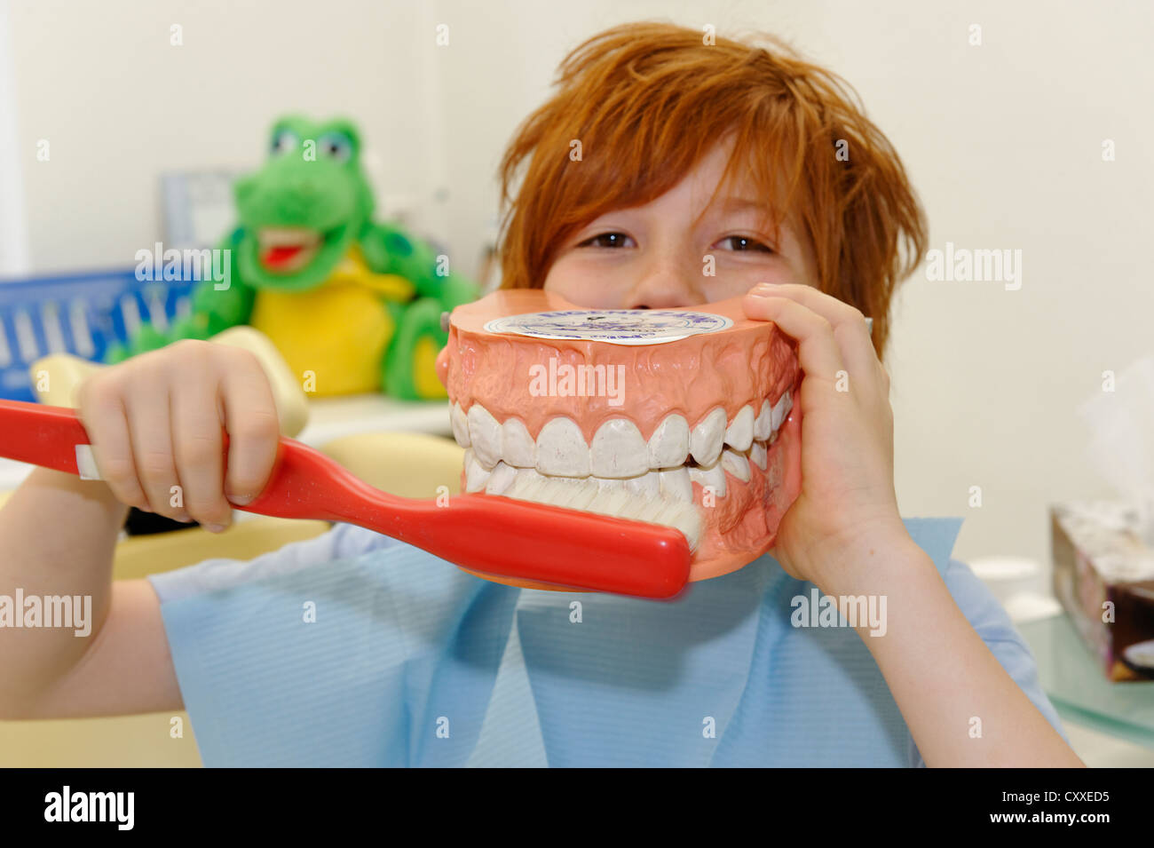 Boy at the dentist's, receiving instructions for dental care on a model ...