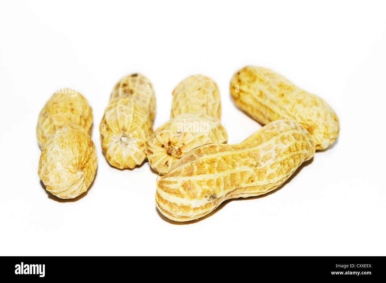 five pieces of peanuts, isolated on white background Stock Photo - Alamy