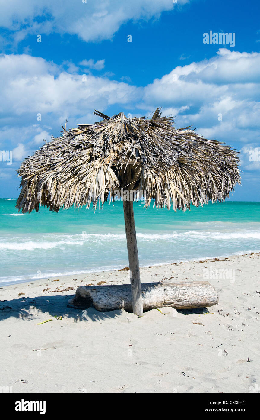 Beautiful tropical beach with an palm covered umbrella Stock Photo - Alamy