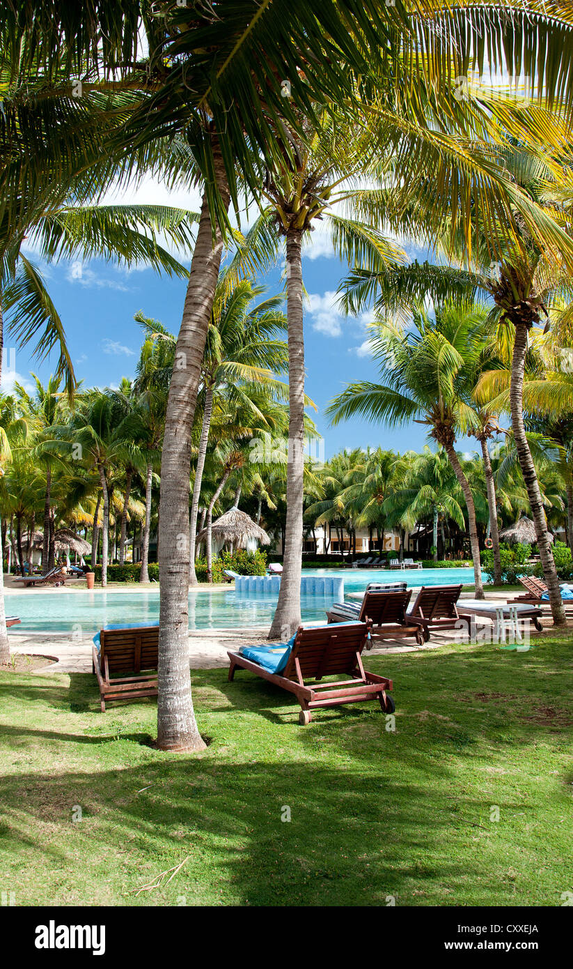 Tropical character hi-res stock photography and images - Alamy