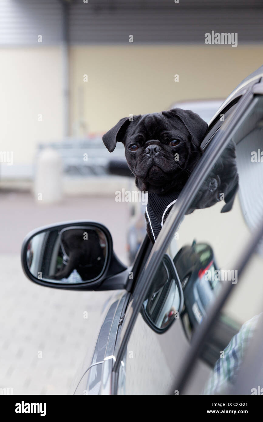 Windows looking out exterior hi-res stock photography and images - Alamy
