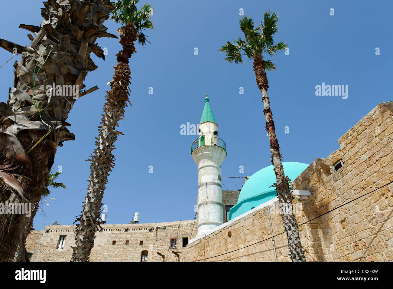 Zaytuna mosque hi-res stock photography and images - Alamy