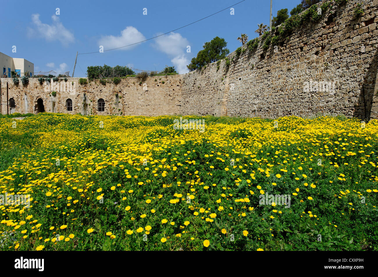 Acre israel castle templar hi-res stock photography and images - Alamy