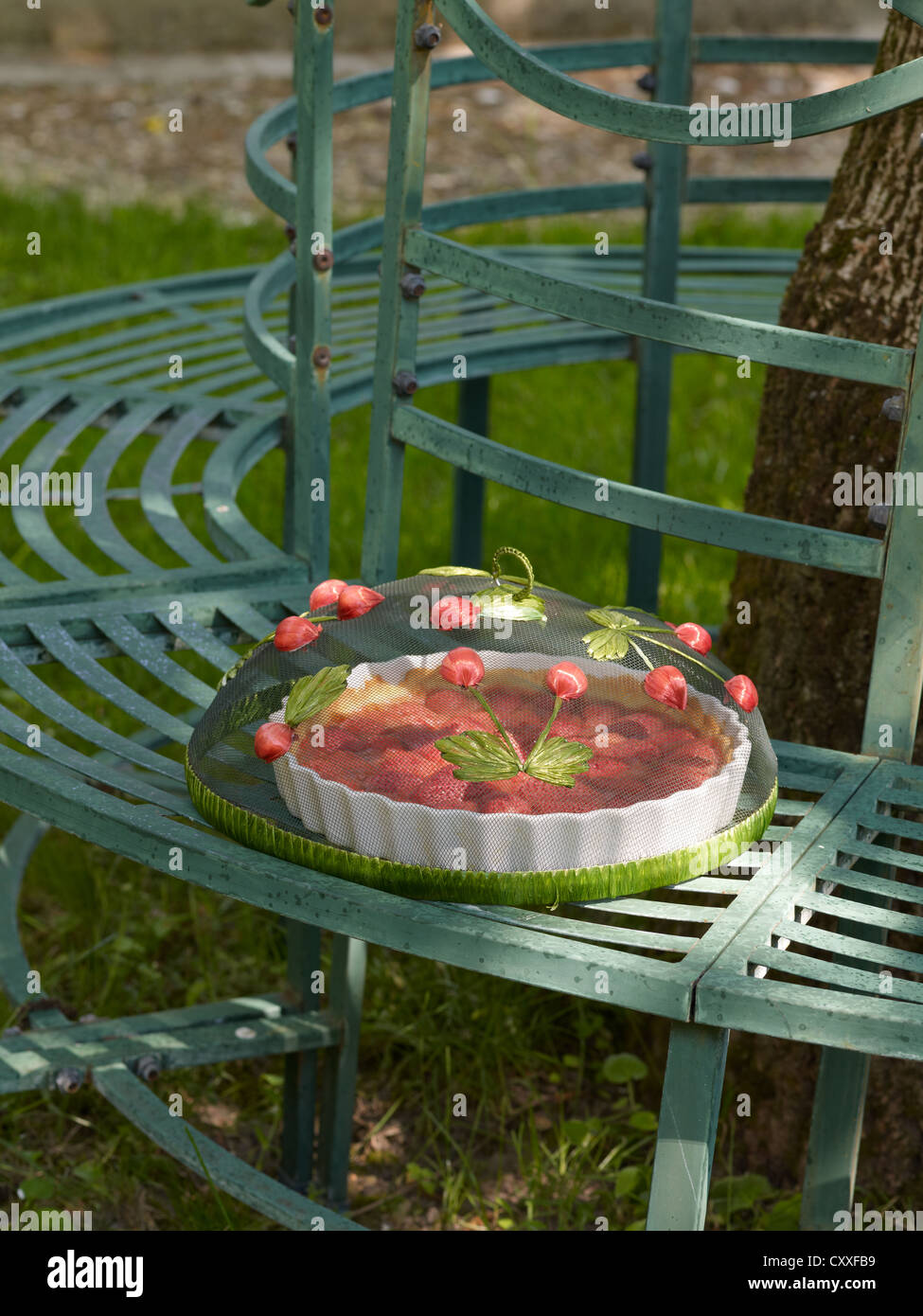 Raspberry pie under a stylish cover on a round tree bench Stock Photo ...