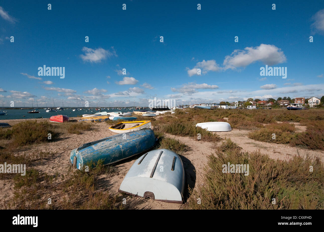 Essex scenery hi-res stock photography and images - Alamy