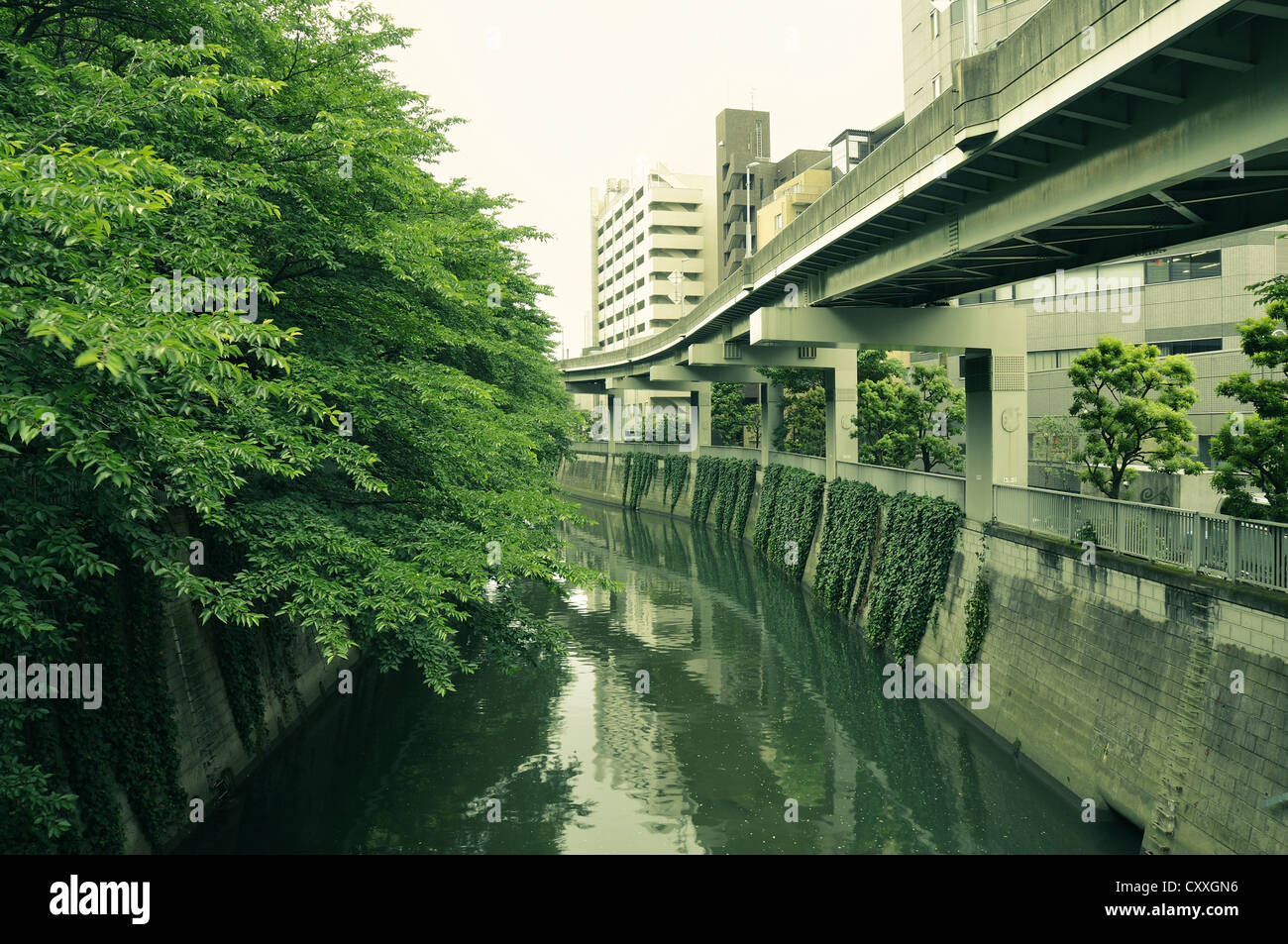 Edogawa river with green trees on one side and hanged highway on ...