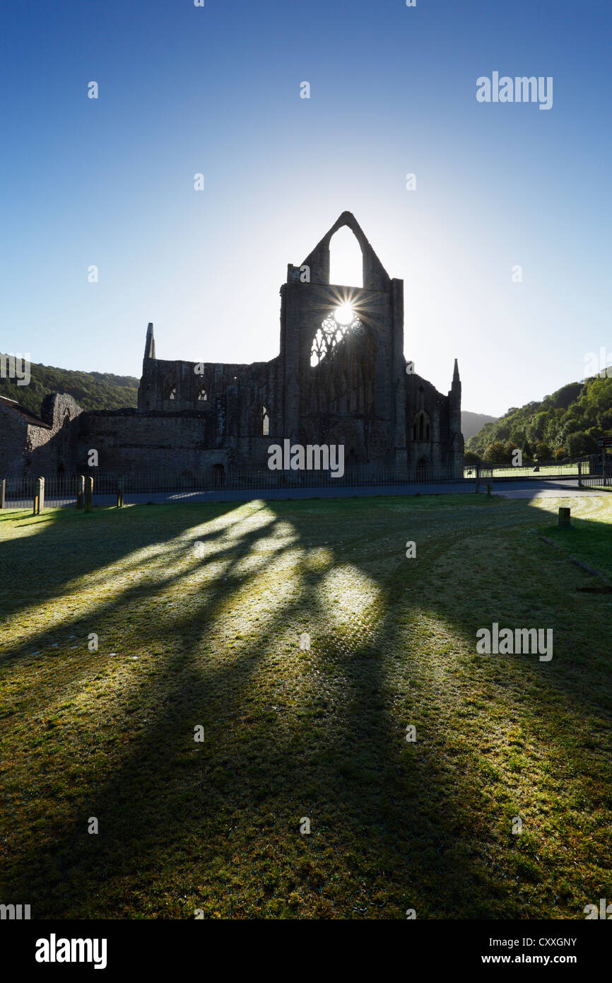 Tintern Abbey, Wye Valley, Monmouthshire. Wales. UK Stock Photo - Alamy