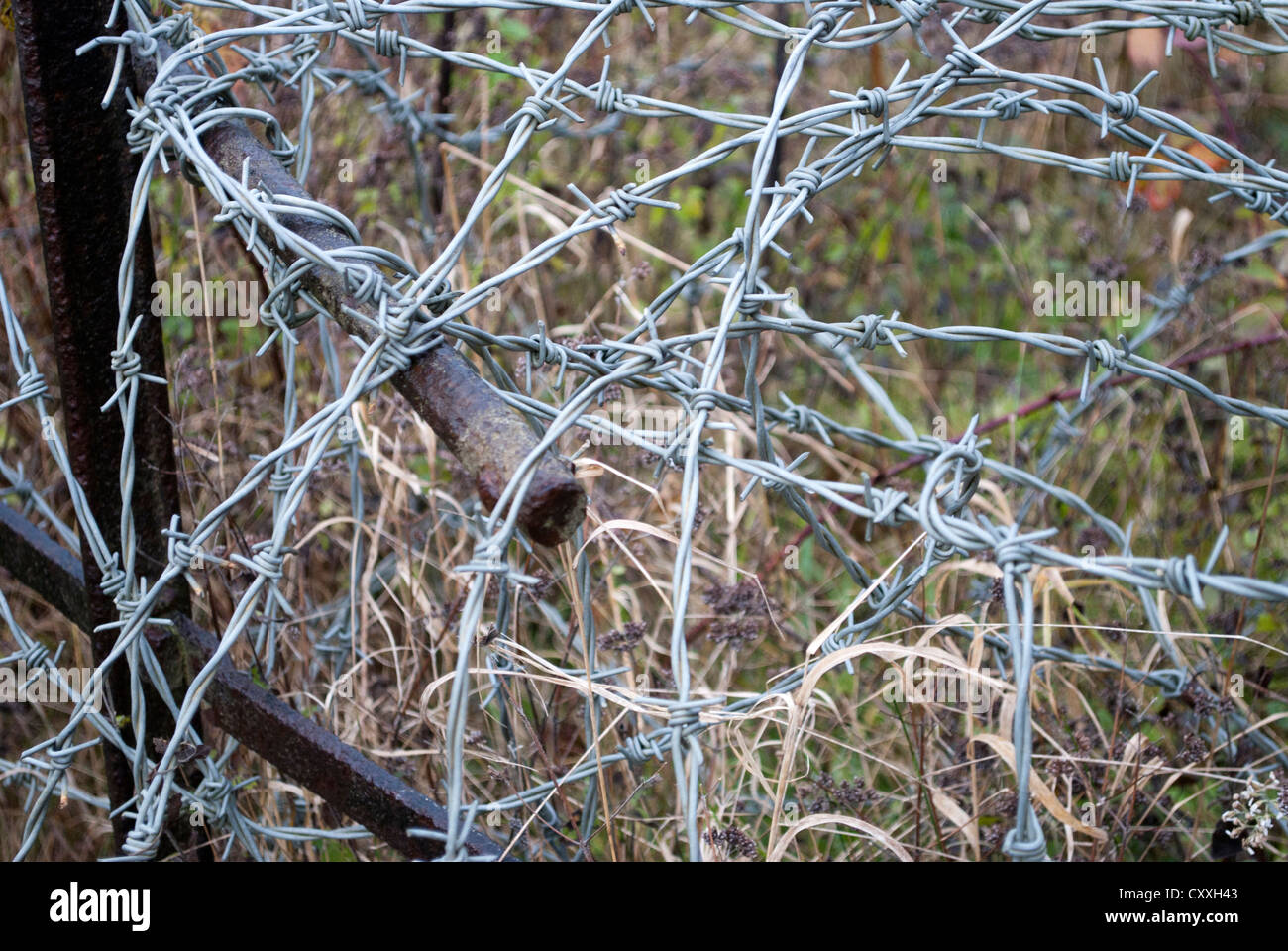 Tangle weeds hi-res stock photography and images - Alamy