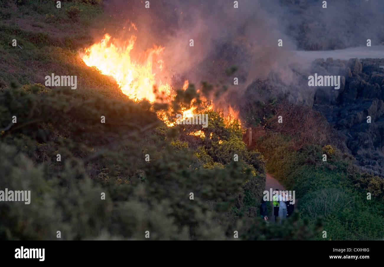 A large bracken fire alongside the coastal path that runs along the top ...