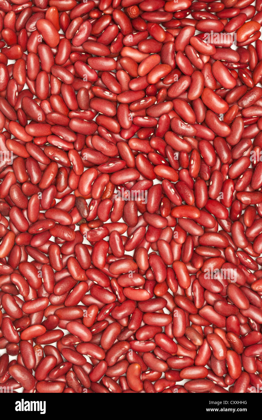 Red beans pattern as background Stock Photo - Alamy