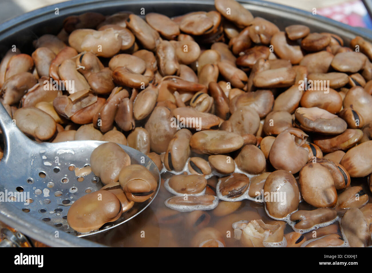 Calabar beans, cooked snack, Jaffa, Tel Aviv, Israel, Middle East Stock ...