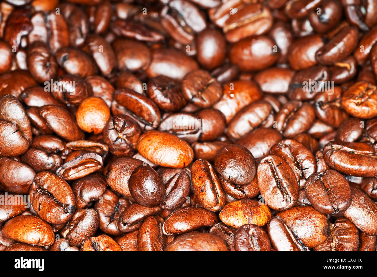 closeup of coffee beans Stock Photo - Alamy