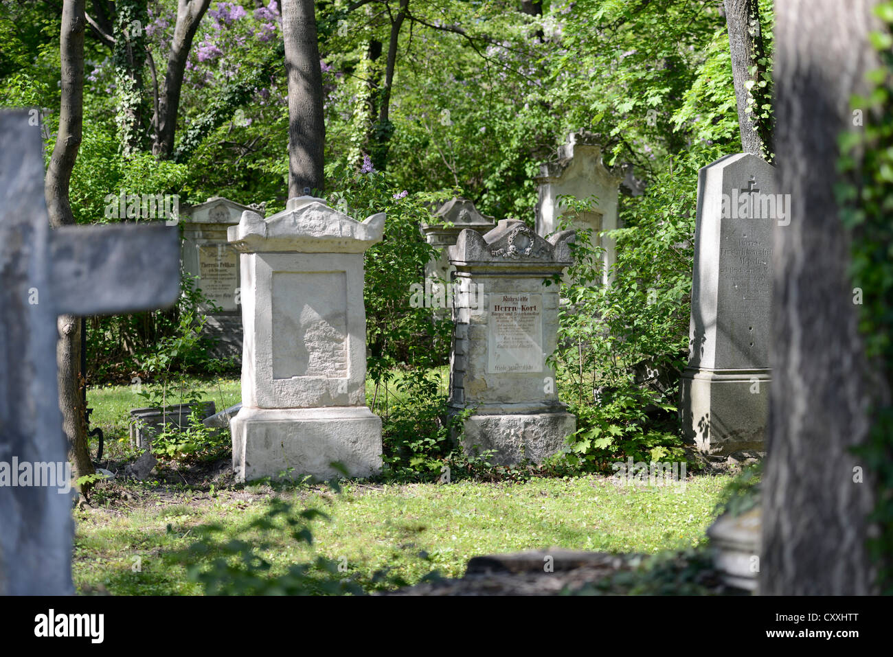 Austrian cemetery tombstone grave hi-res stock photography and images ...