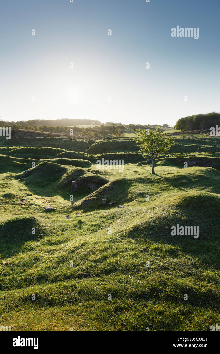 Ubley Warren Nature Reserve. The Mendip Hills. Somerset. England. UK ...