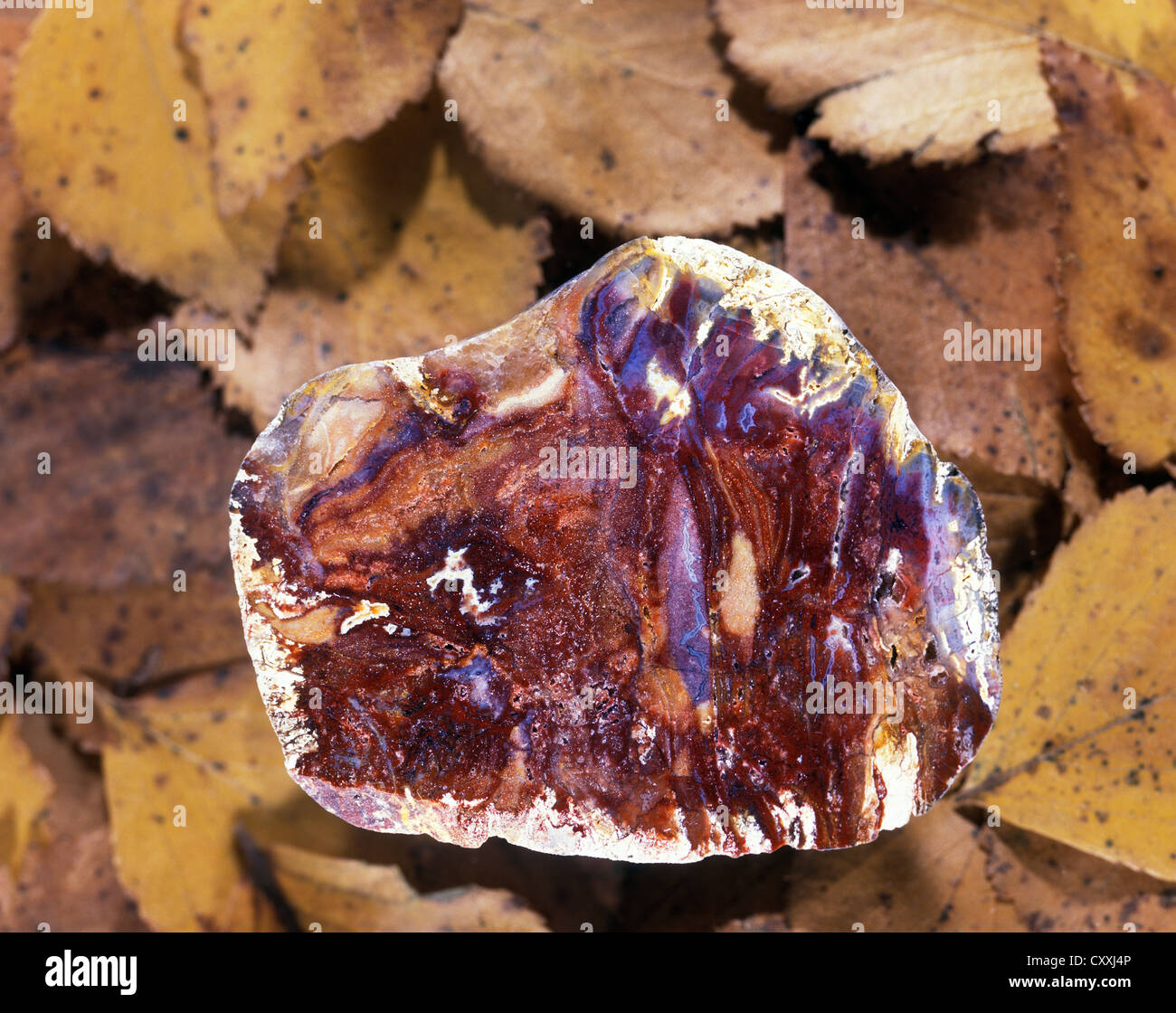 Crystals jasper hi-res stock photography and images - Alamy