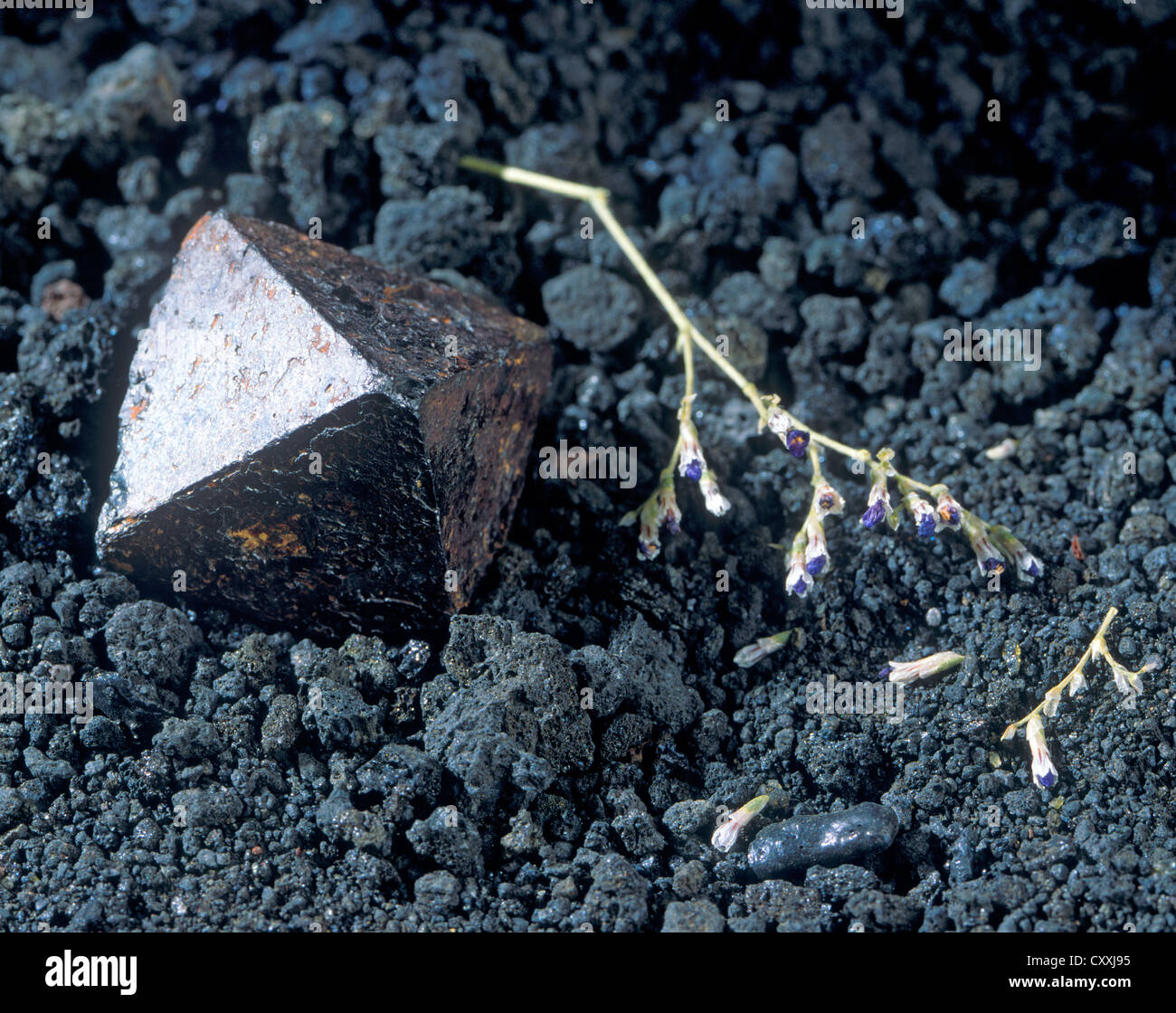 Magnetite Mineral High Resolution Stock Photography and Images - Alamy