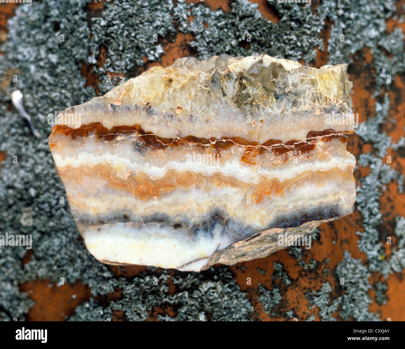 Coral agate, cut, from Halsbach Stock Photo - Alamy