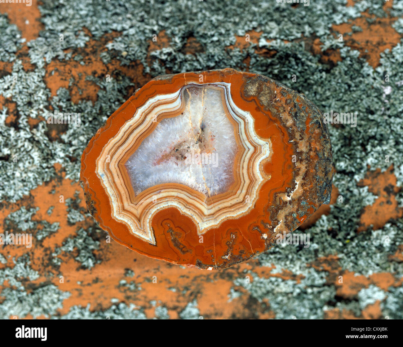 Agate, cut, from Waldhambach, Palatinate, Germany Stock Photo - Alamy