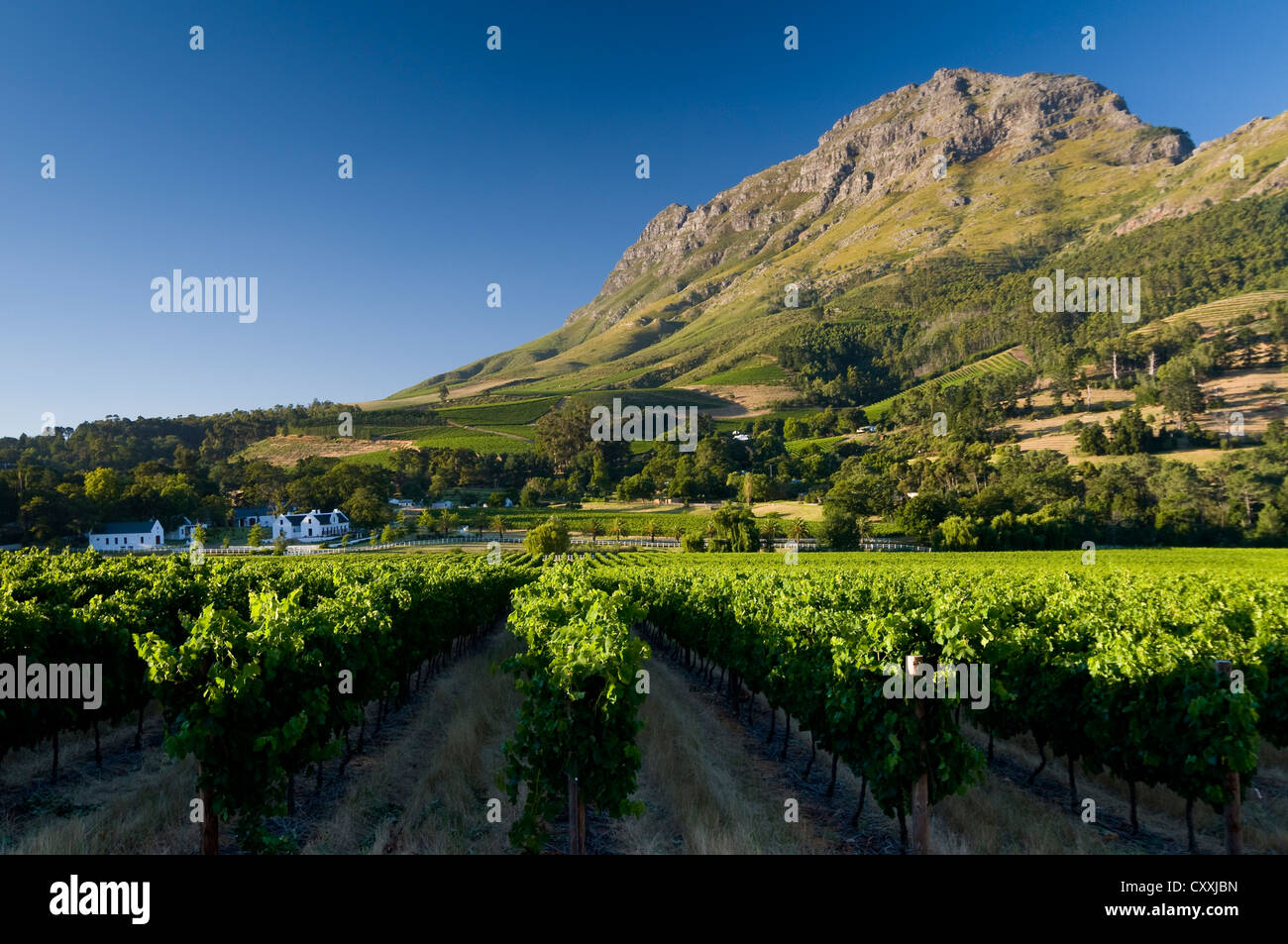 Franschhoek hi-res stock photography and images - Alamy