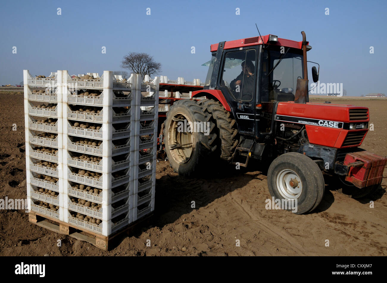 Tractor, early potato planting in March in south Sweden, Europe Stock ...