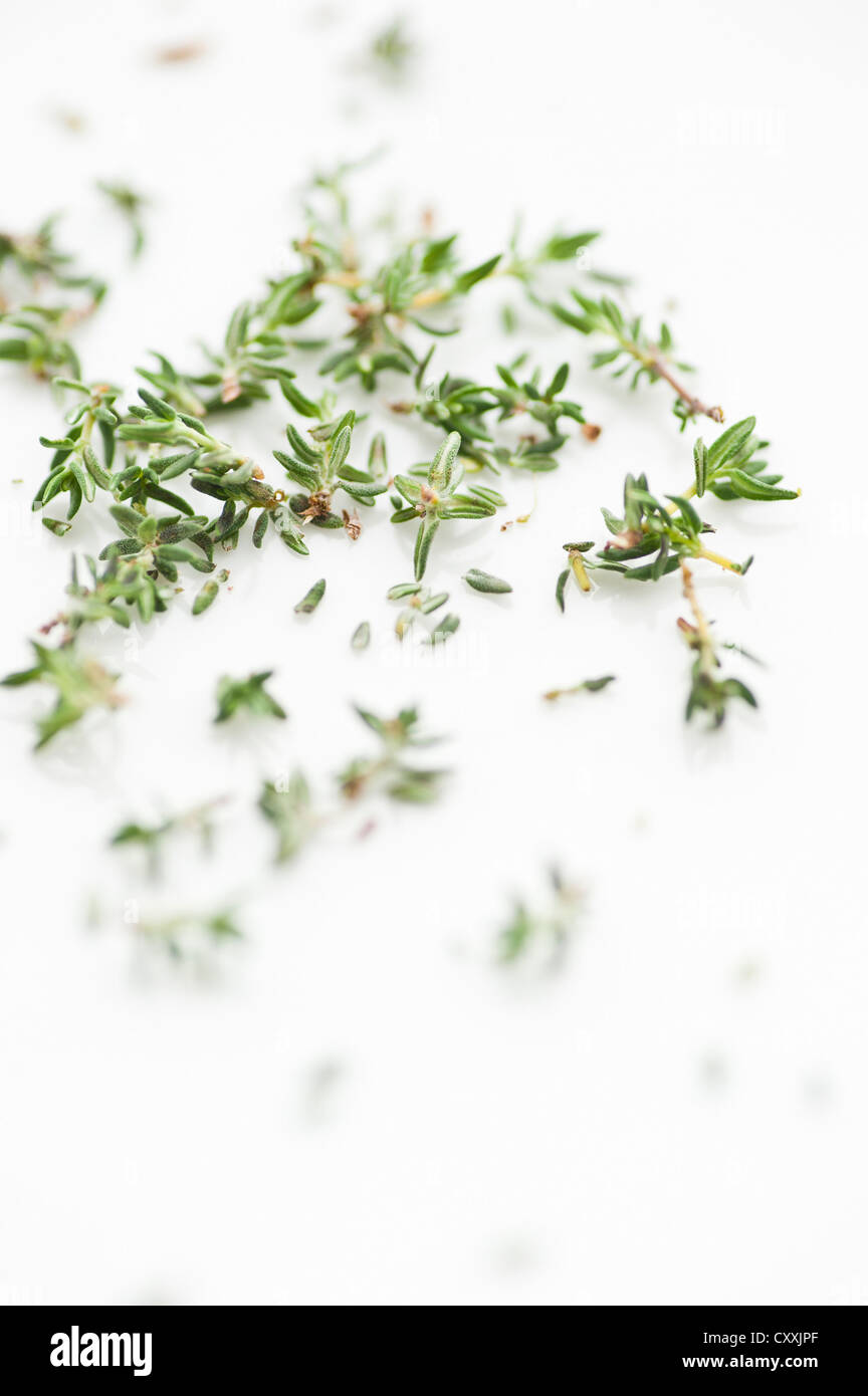 Thyme condiment hi-res stock photography and images - Alamy
