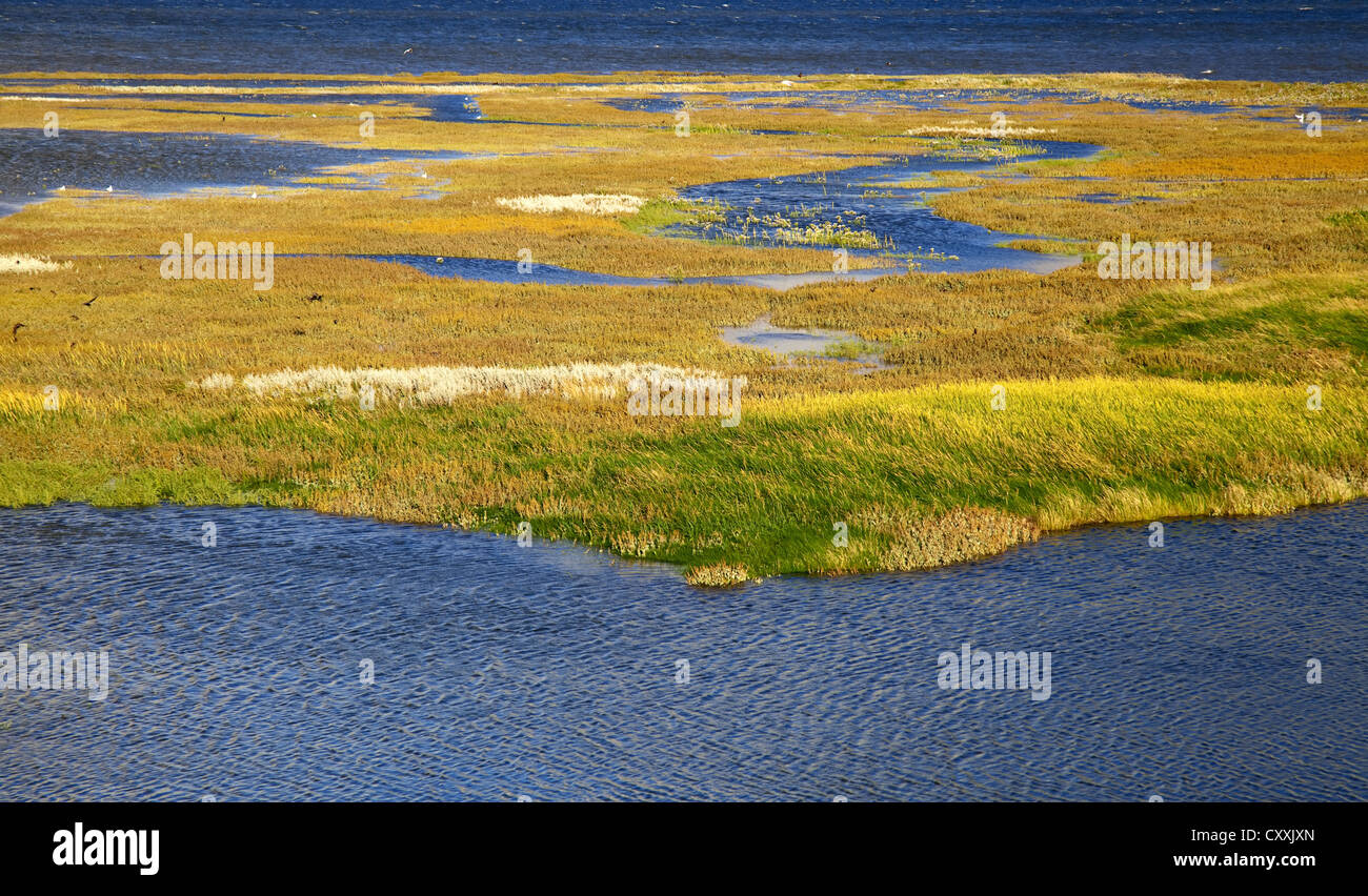 Wadden sea national park denmark hi-res stock photography and images ...