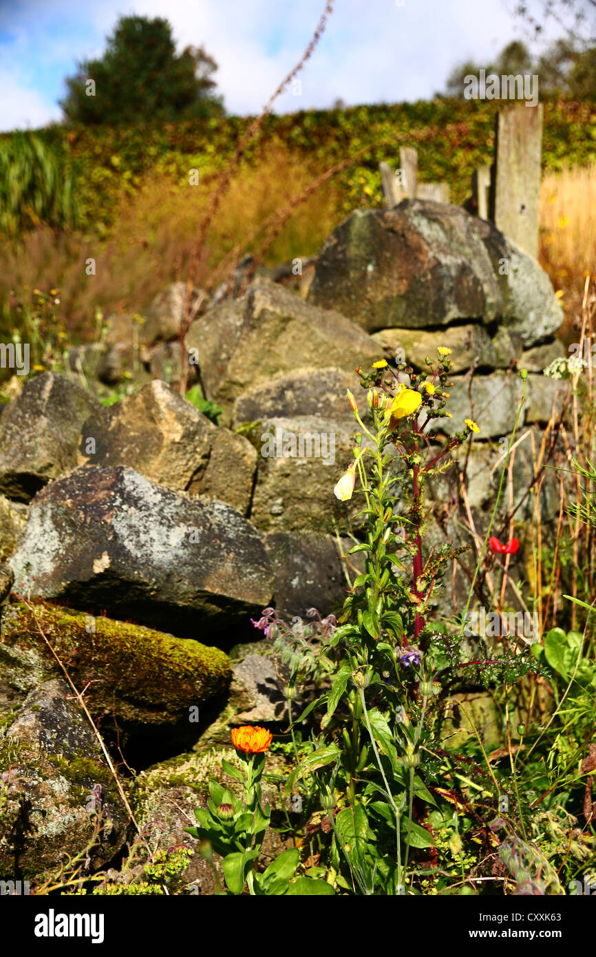 Dry stone wall Stock Photo - Alamy