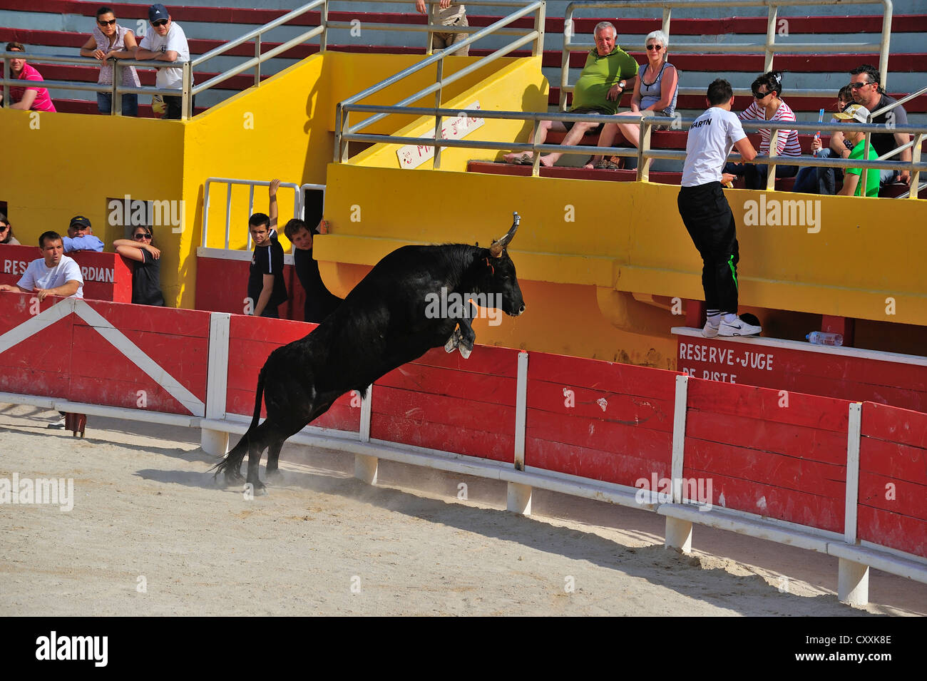 Camargue tradition hi-res stock photography and images - Alamy