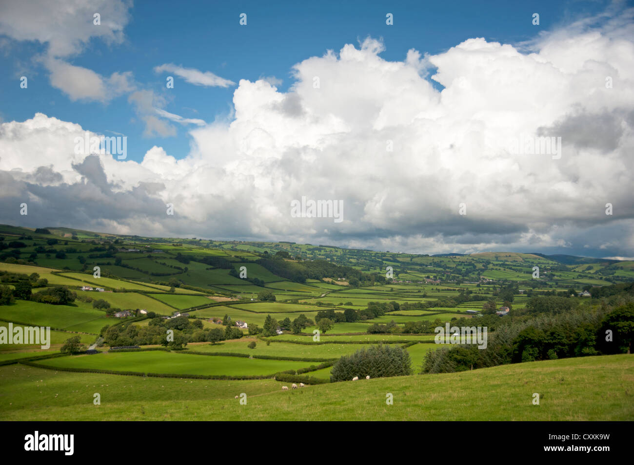 Nonconformist welsh chapel hi-res stock photography and images - Alamy
