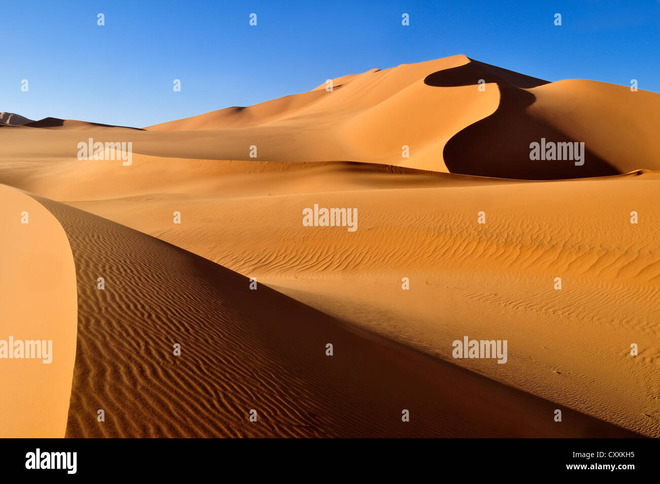 Sand dunes at Erg Mehedjibat, Immidir, Algeria, Sahara, North Africa ...