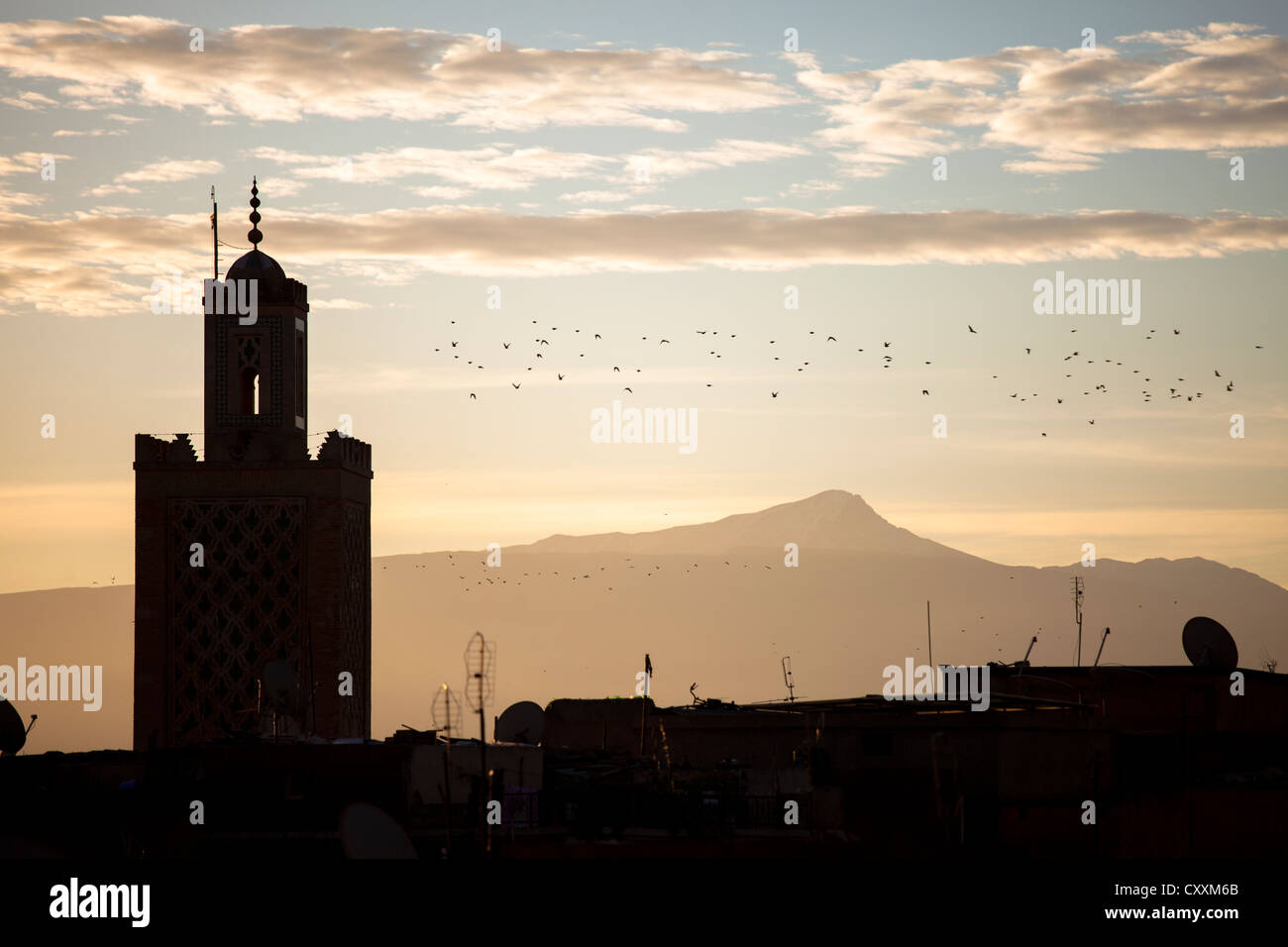 Marrakesh skyline at sunrise Stock Photo - Alamy