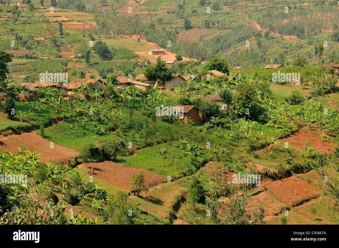 Go Green Landscapes Rwanda
