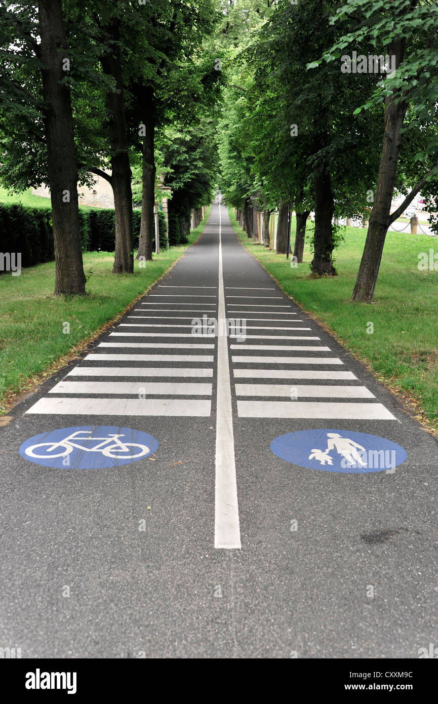 A cycle path and a pedestrian way, exemplary transport routes ...