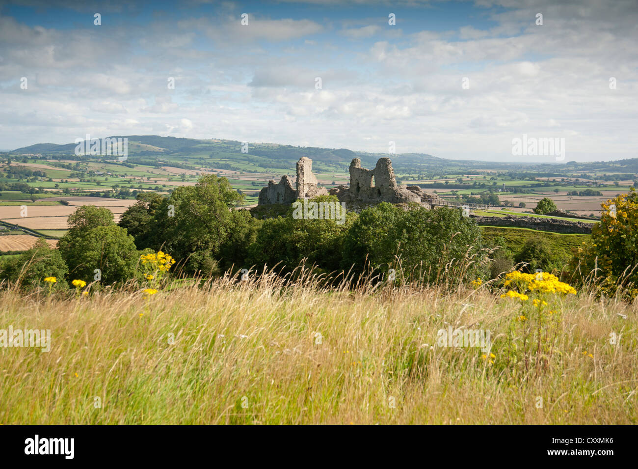 Hen domen hi-res stock photography and images - Alamy