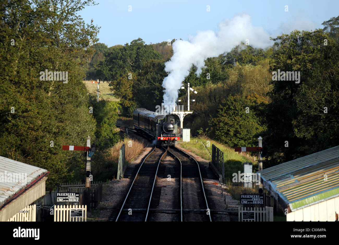 Steam locomotive train the 473 Birch Grove at Sheffield Park Station on ...