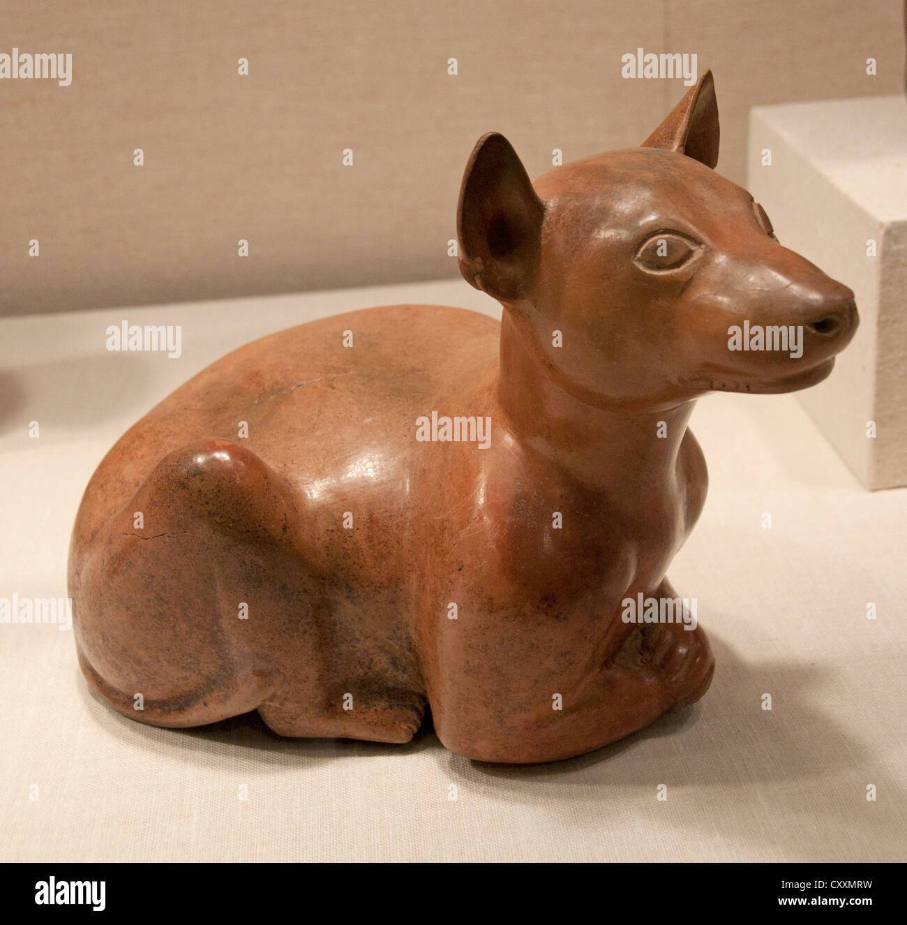 Reclining Dog 200 BCE300 CE Mexico Mexican Mesoamerica Colima Ceramic ...