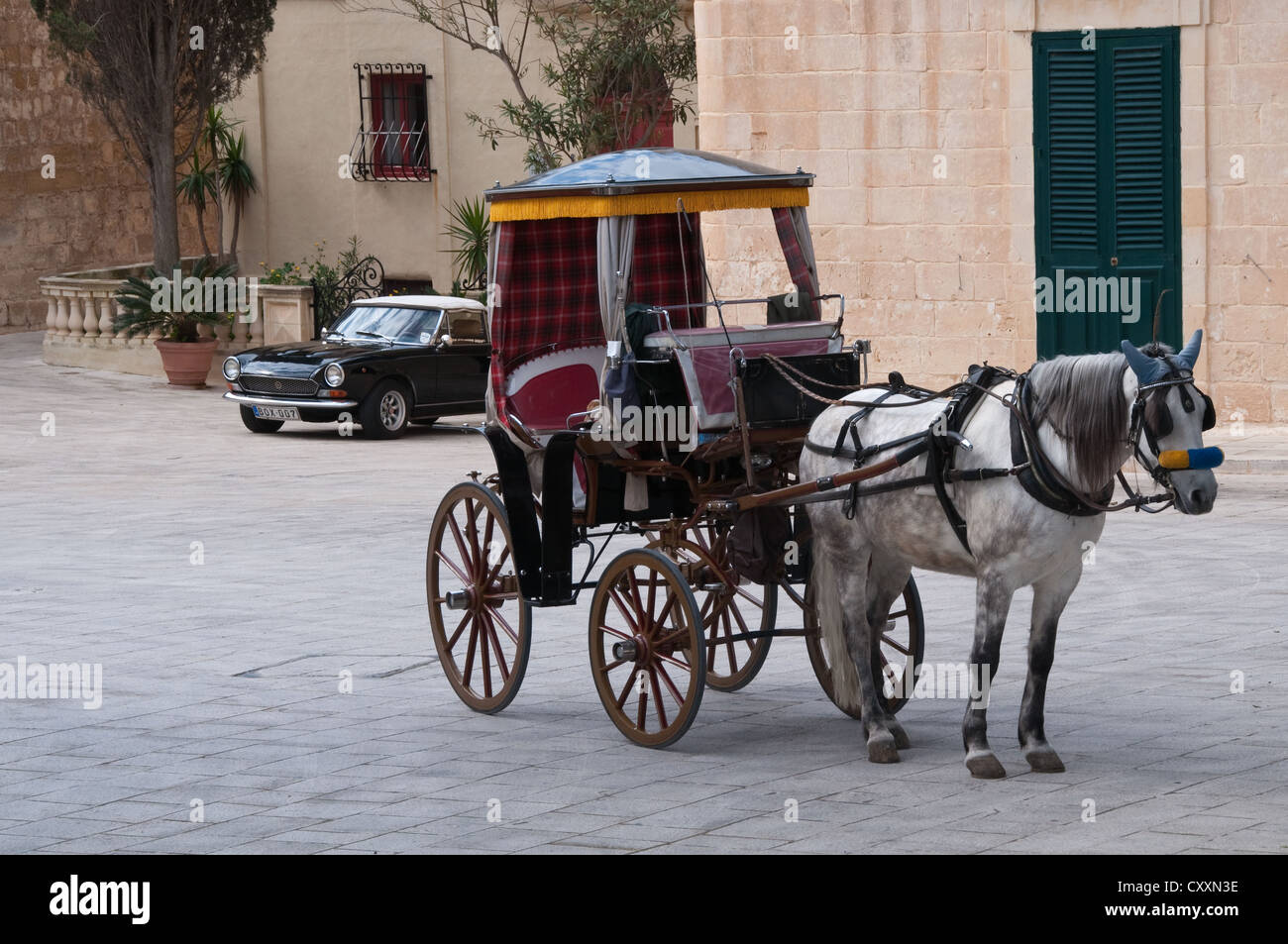 Karozzin - the traditional horse drawn cart of Malta - in Pjazza Tas ...