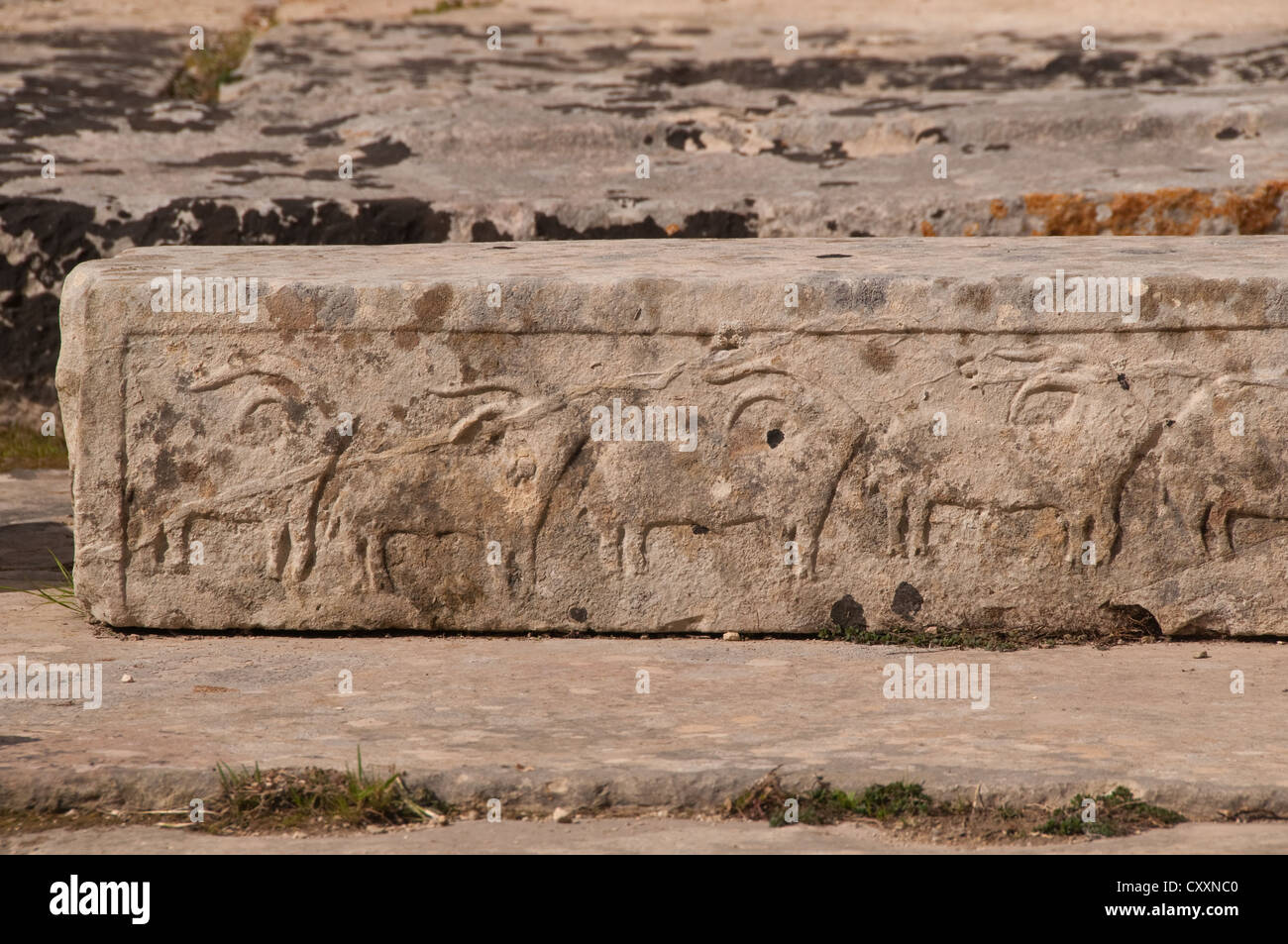 Neolithic civilisations malta hi-res stock photography and images - Alamy