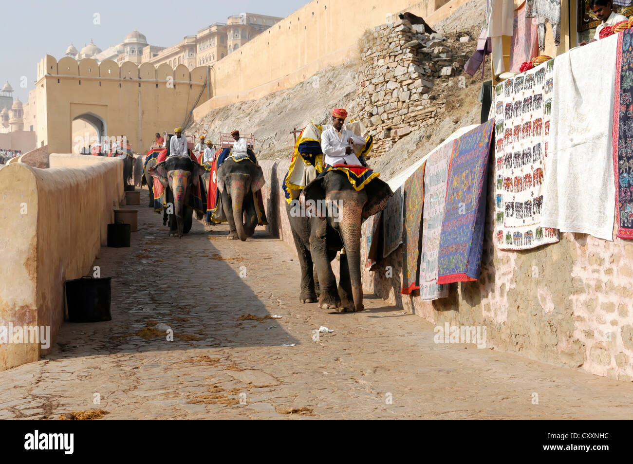 Elephants at Amber Fort, Amer Fort, animals for riding, Amer, near ...