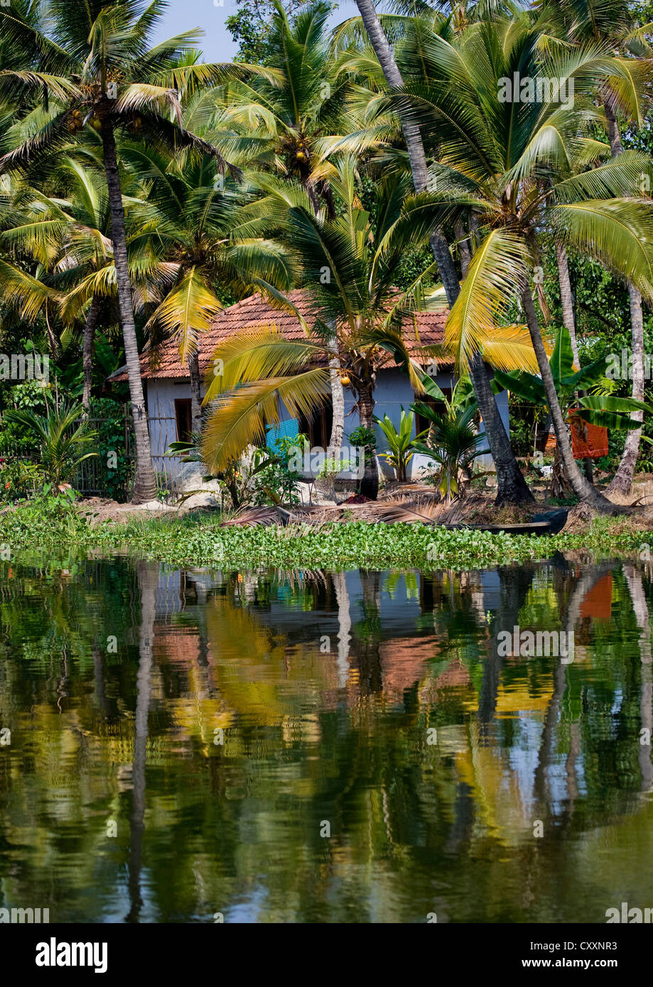 House Hidden By Trees On The Banks Of The Backwaters Of Kerala ...