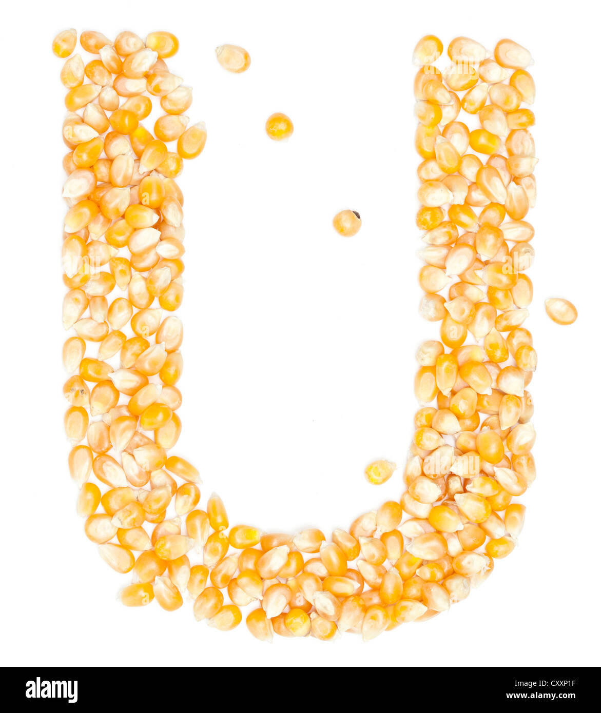 U,Alphabet from Organic corn beans dry on white Stock Photo - Alamy