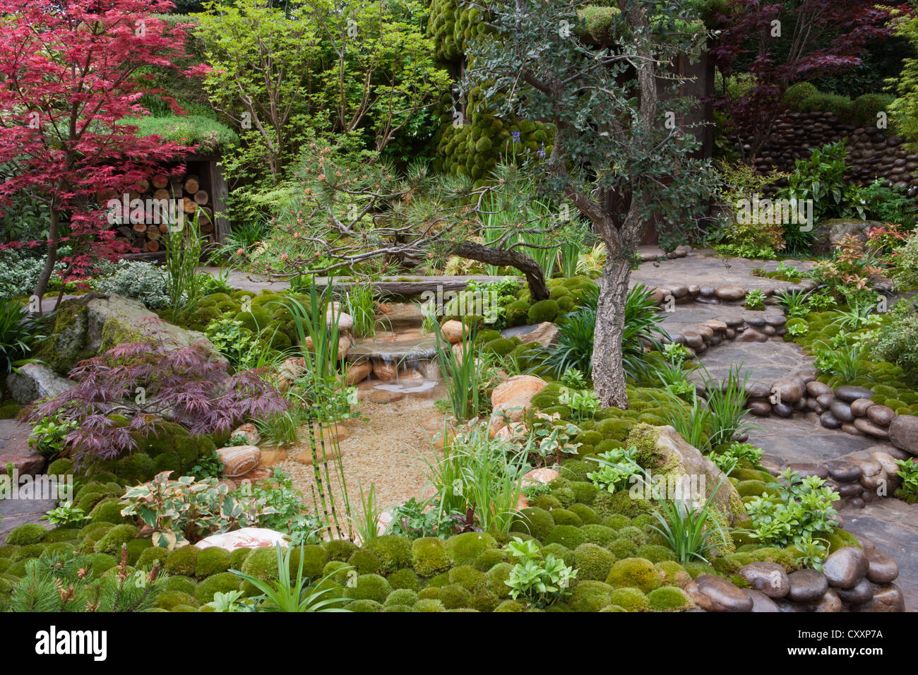 Japanese Flower Garden Stone Path