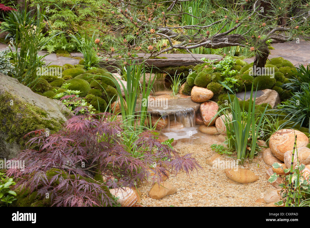 Japanese Water Garden Paramount Plants And Gardens