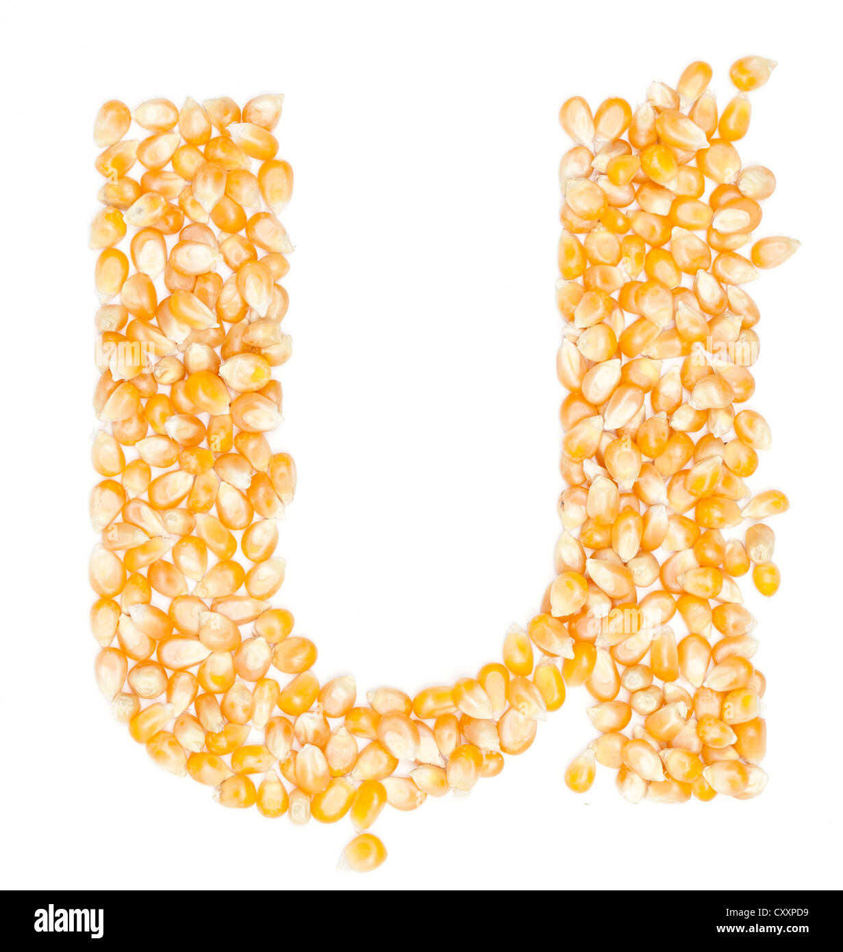 u,Alphabet from Organic corn beans dry on white Stock Photo - Alamy