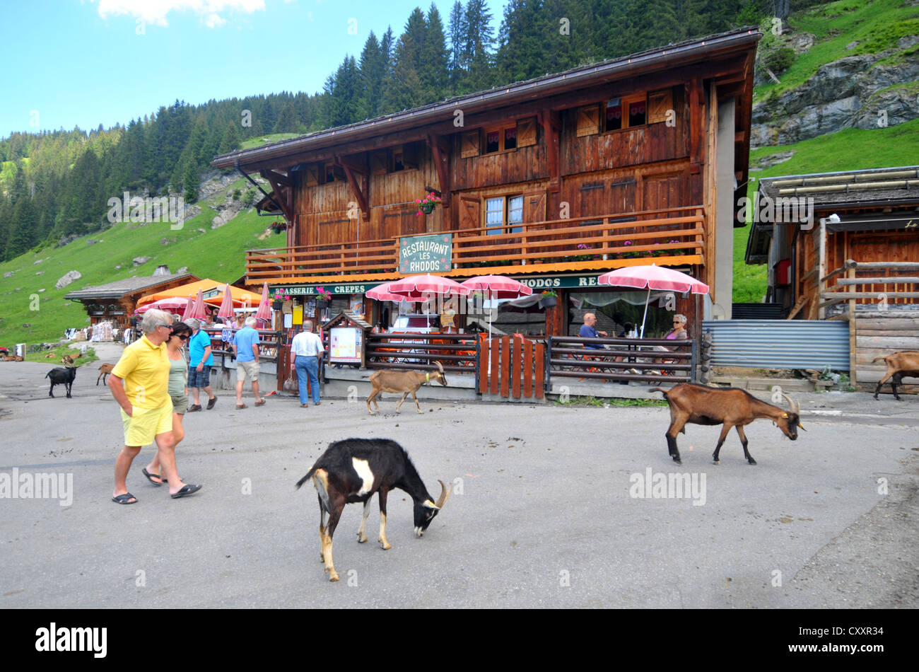 Les Lindarets goat village, Les Lindarets, France Stock Photo - Alamy