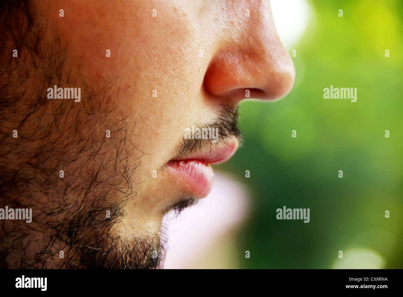 macro face beard of young man Stock Photo - Alamy