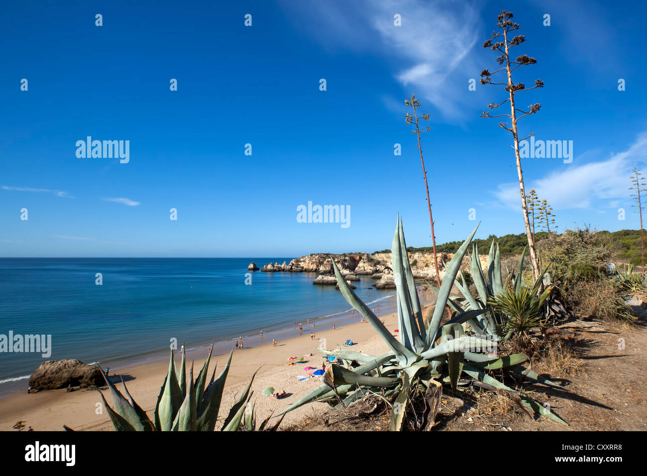 Portimão, Algarve, Portugal Stock Photo - Alamy